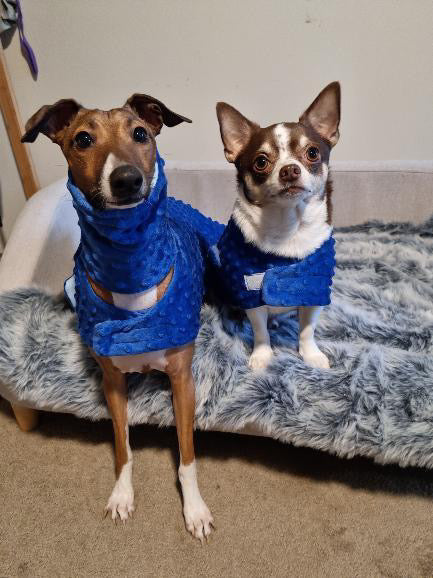 The Bentley Wrap Vest – Boo & Moo Dogwear